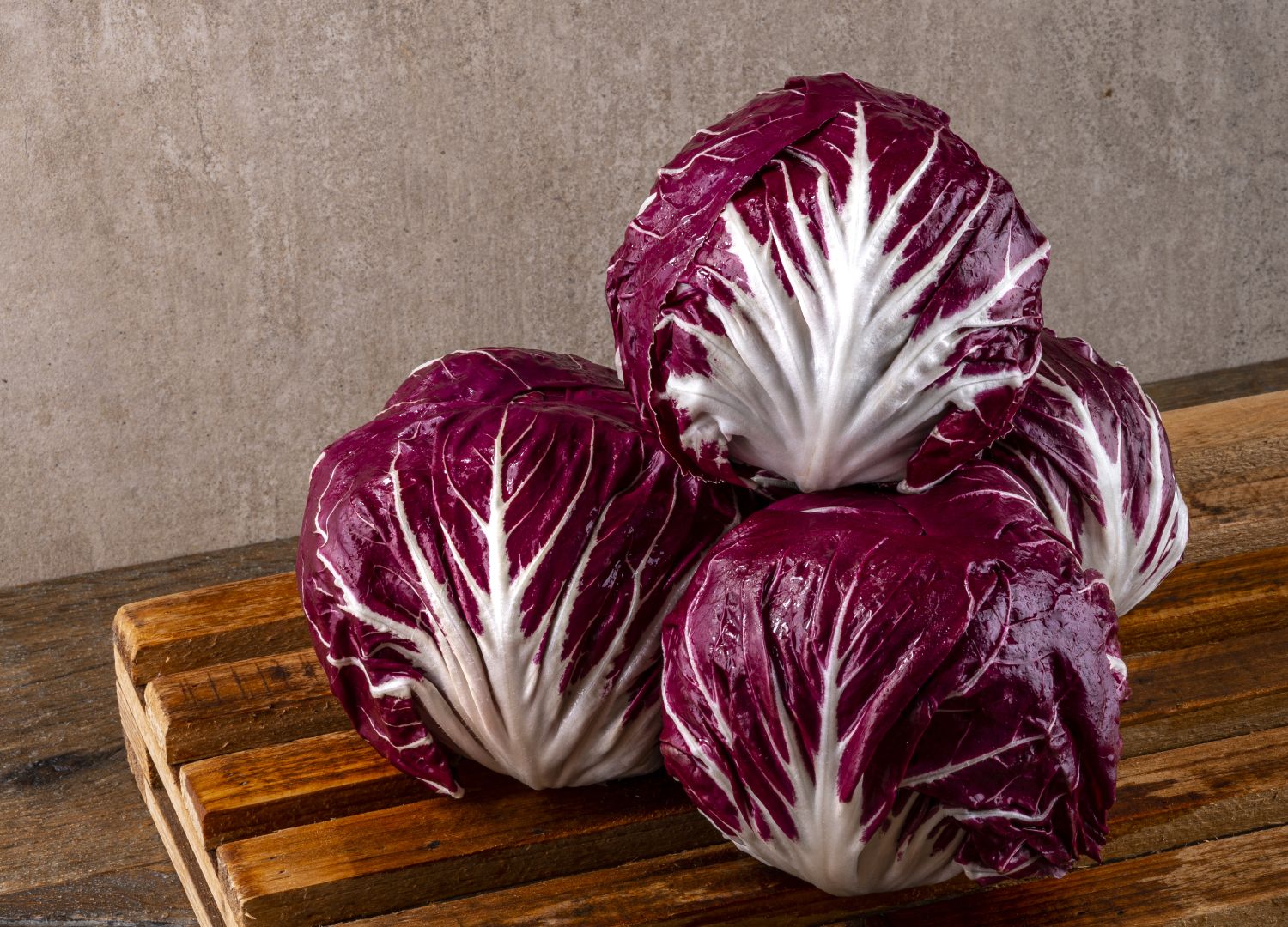 Radicchio Rosso Tondo Radicchio Rosso Tondo